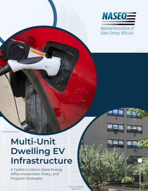 Publications | NASEO